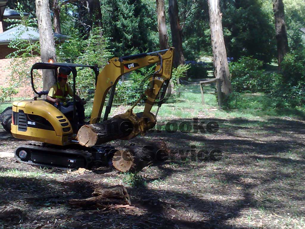 Wood Chipping One Tree Hill – Sherbrooke Tree Service